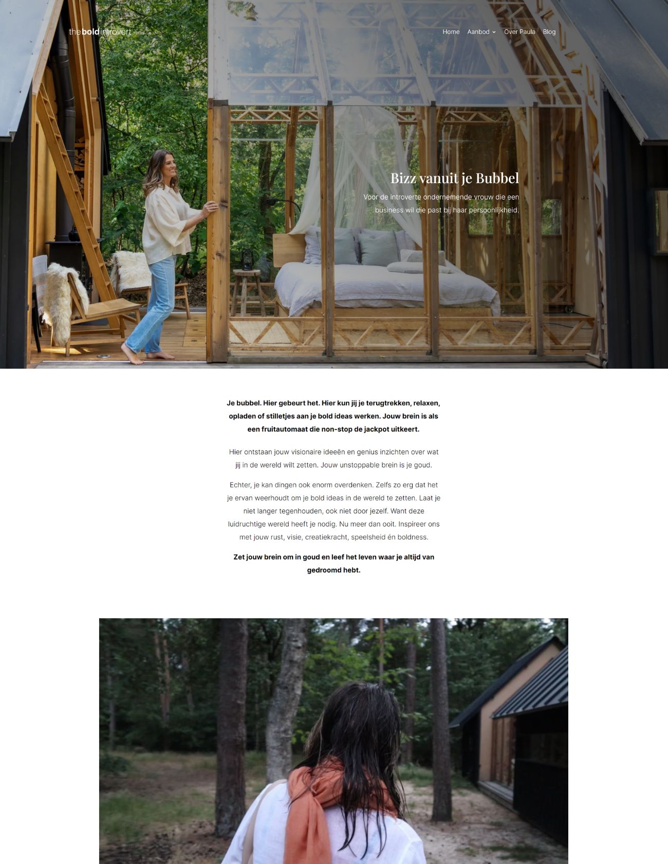 The Bold Introvert - Paula Terpstra