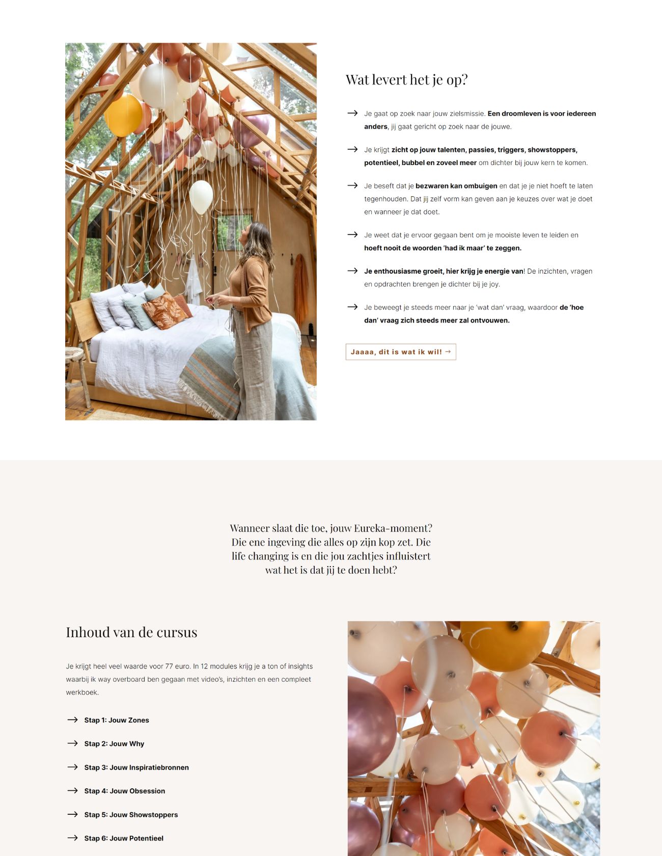 The Bold Introvert - Paula Terpstra